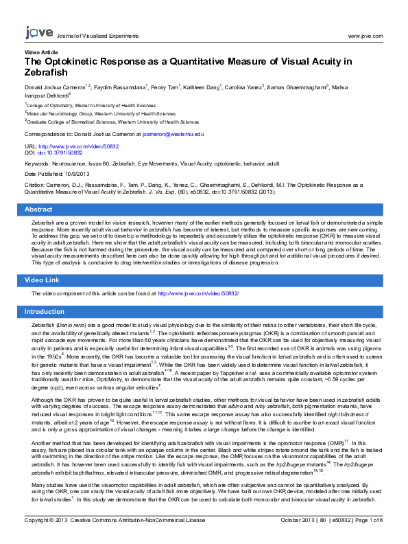 (PDF) The Optokinetic Response as a Quantitative Measure of Visual ...