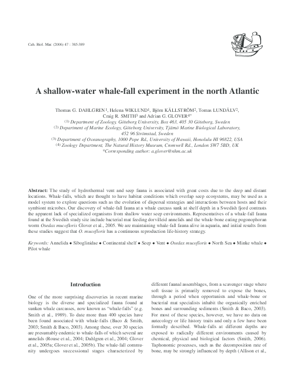 (PDF) A shallow-water whale-fall experiment in the north Atlantic