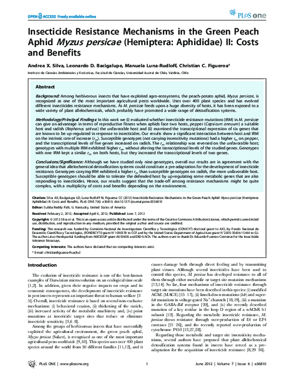 (PDF) Insecticide Resistance Mechanisms in the Green Peach Aphid Myzus persicae (Hemiptera ...