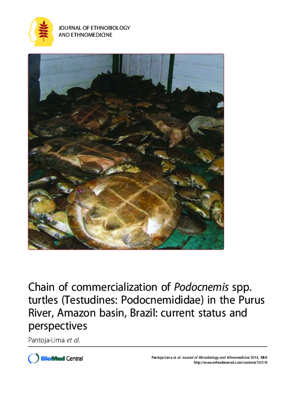 (PDF) Chain of commercialization of Podocnemis spp. turtles (Testudines ...