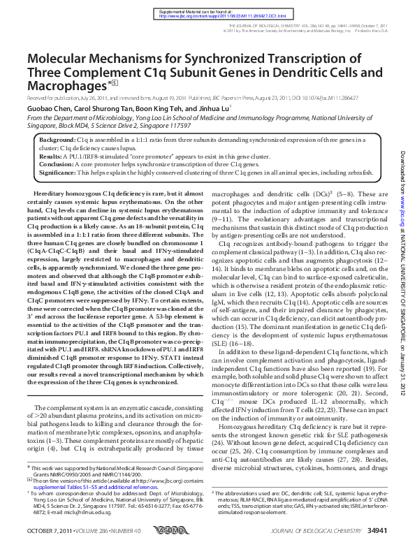 (PDF) Molecular Mechanisms for Synchronized Transcription of Three ...