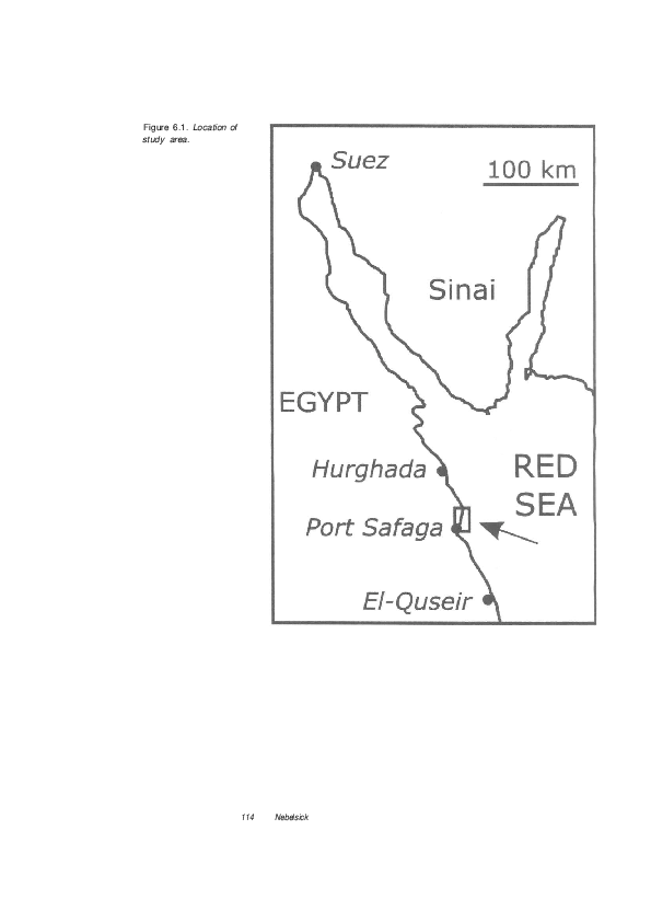 (PDF) Taphonomy of the Irregular Echinoid Clypeaster humilis from the ...