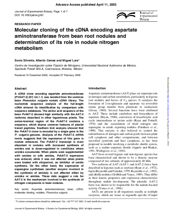 (PDF) Molecular cloning of the cDNA encoding aspartate aminotransferase ...
