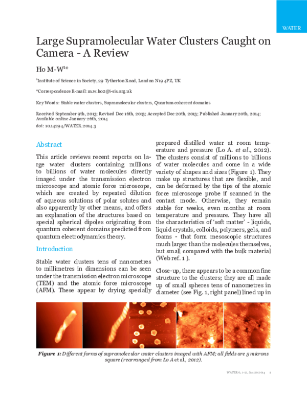 (PDF) Large supramolecular water clusters caught on camera