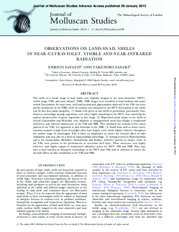 (PDF) Observations on land snail shells in near-ultraviolet, visible ...