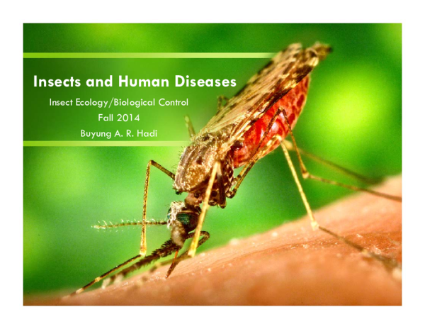 (PDF) Insects and Human Diseases