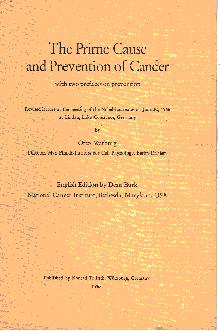(PDF) Prime Cause