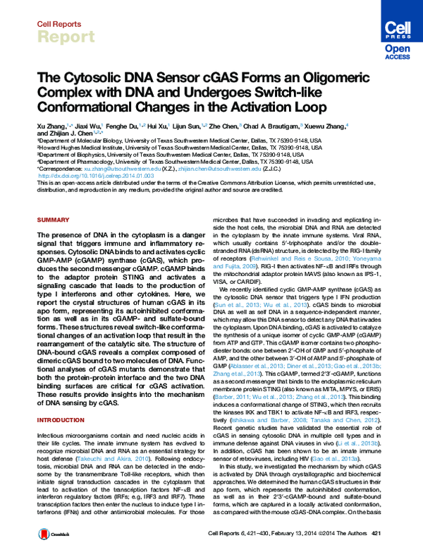 (PDF) The Cytosolic DNA Sensor cGAS Forms an Oligomeric Complex with ...