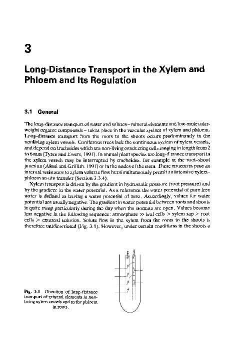 (PDF) Cap 3 Long Distance Transport in the Xylem and Phloem and Its ...