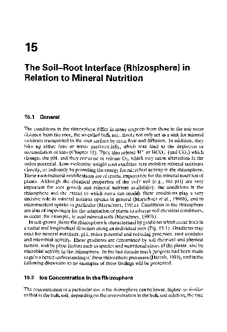 (PDF) The Soil-Root Interface (Rhizosphere) in Relation to Mineral ...