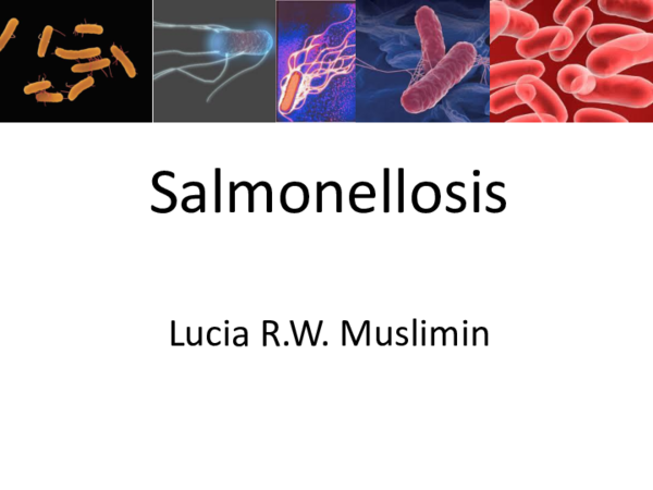 (PPT) Salmonellosis