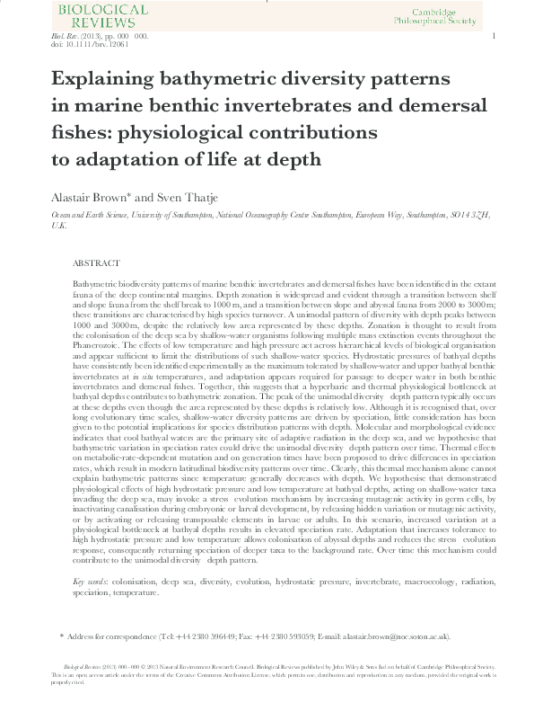 Explaining bathymetric diversity patterns in marine benthic ...
