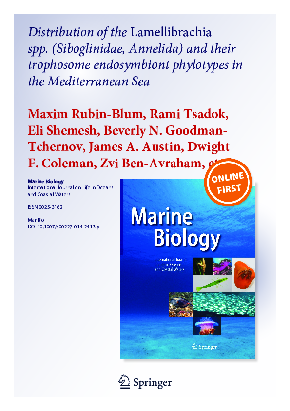 (PDF) Distribution of the Lamellibrachia spp. (Siboglinidae, Annelida ...