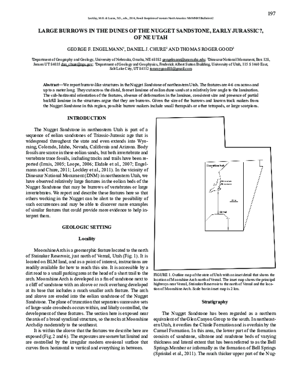 (PDF) LARGE BURROWS IN THE DUNES OF THE NUGGET SANDSTONE, EARLY ...