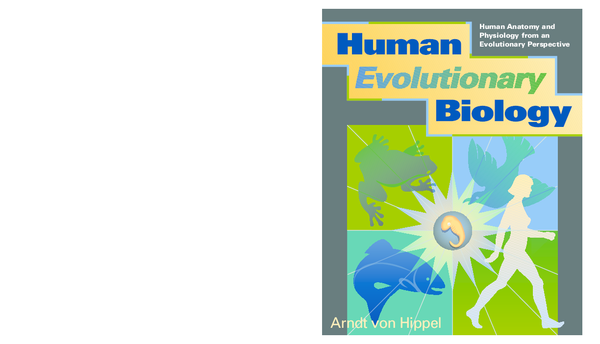 (PDF) Human Evolutionary Biology, pub 1994 - Human Biology from an ...