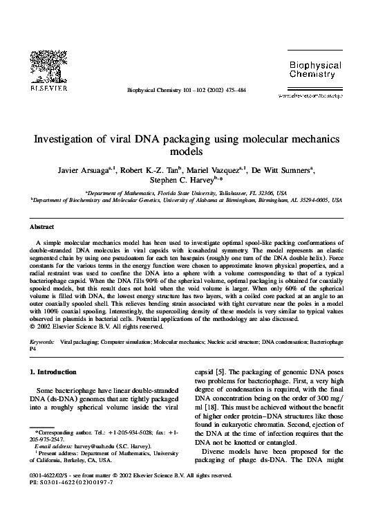 (PDF) Investigation of viral DNA packaging using molecular mechanics models