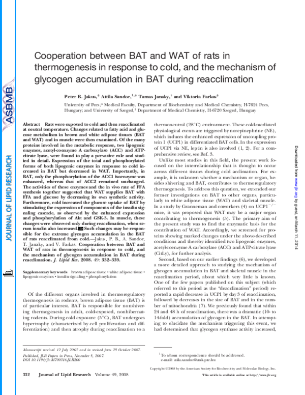 (PDF) Cooperation between BAT and WAT of rats in thermogenesis in ...