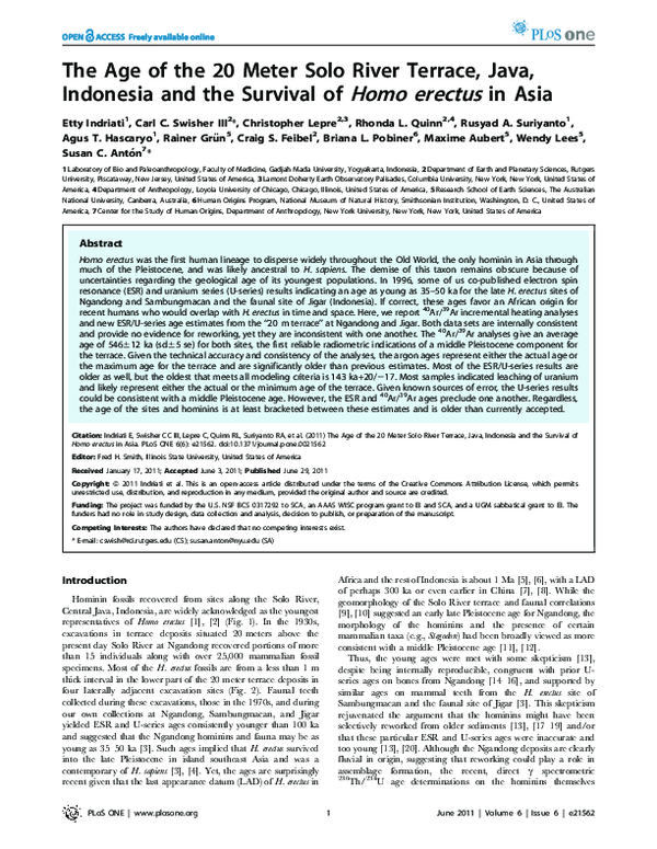 (PDF) The Age of the 20 Meter Solo River Terrace, Java, Indonesia and ...