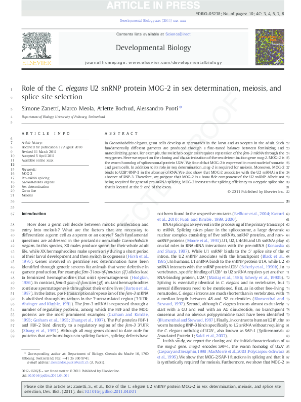 (PDF) Role of the C. elegans U2 snRNP protein MOG2 in sex determination, meiosis, and splice ...