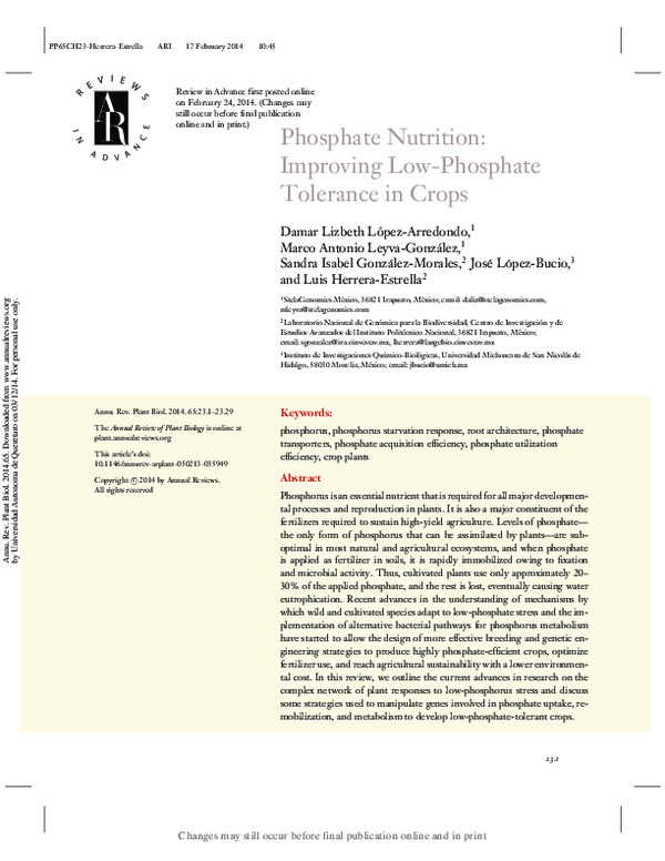 (PDF) Phosphate Nutrition Improving Low-Phosphate Tolerance in Crops