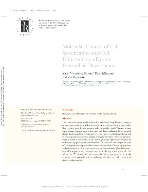 (PDF) Molecular Control of Cell Specification and Cell Differentiation ...