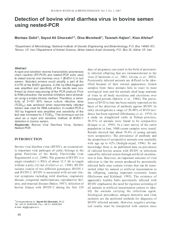 (PDF) Detection of bovine viral diarrhea virus in bovine semen using