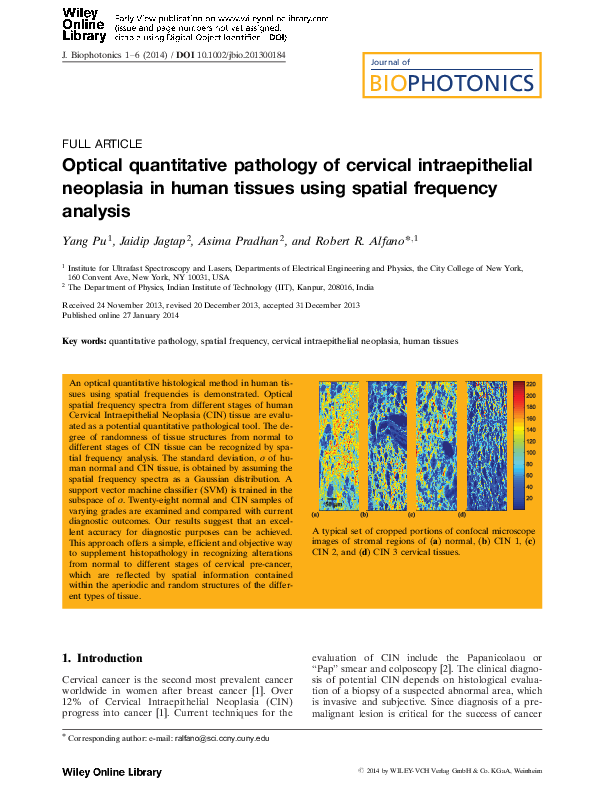 (PDF) Optical quantitative pathology of cervical intraepithelial ...