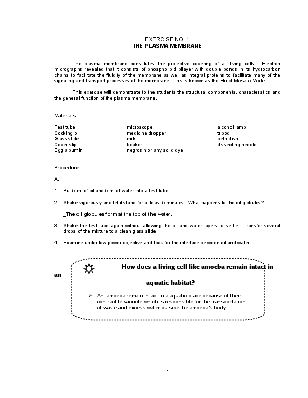 (DOC) Physiology Lab Report