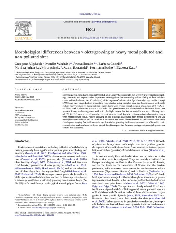 (PDF) Morphological differences between violets growing at heavy metal ...