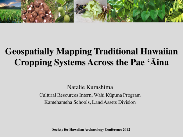 (PDF) Powerpoint presentation: Geospatially Mapping Traditional ...