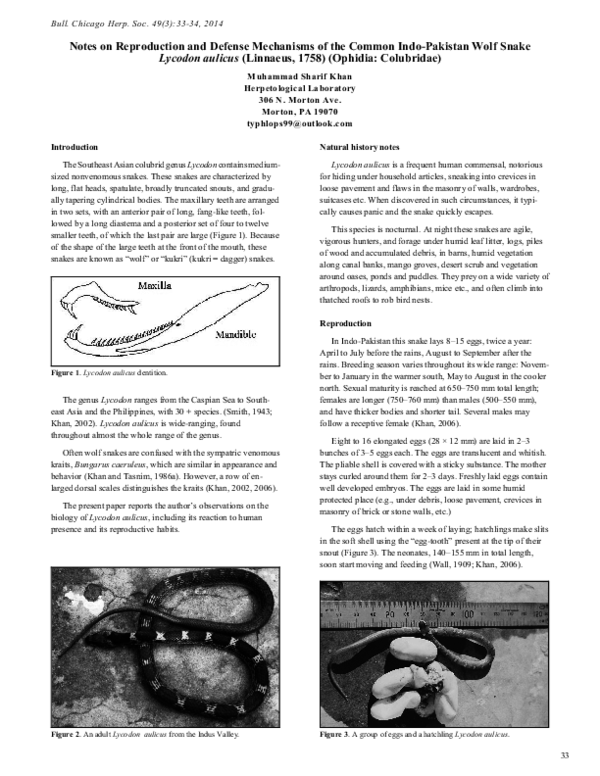 (PDF) Notes on Reproduction and Defense Mechanisms of the Common Indo ...