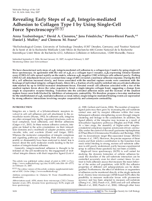 (PDF) Revealing Early Steps of 2beta1 Integrin-mediated Adhesion to Collagen Type I by Using ...