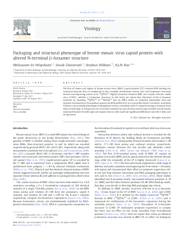 (PDF) Packaging and structural phenotype of brome mosaic virus capsid ...