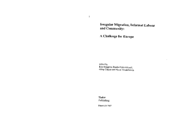 (PDF) Irregular Migration, Informal Labour and Community: A Challange ...