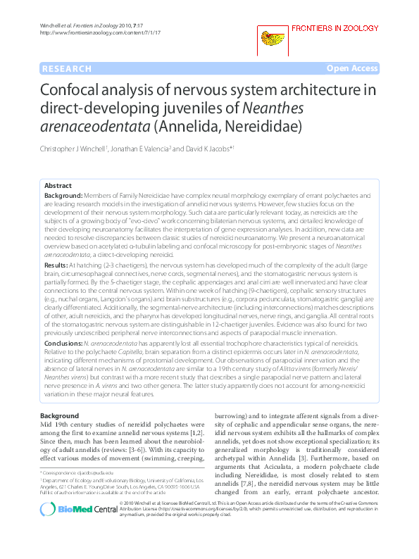 (PDF) Confocal analysis of nervous system architecture in direct ...
