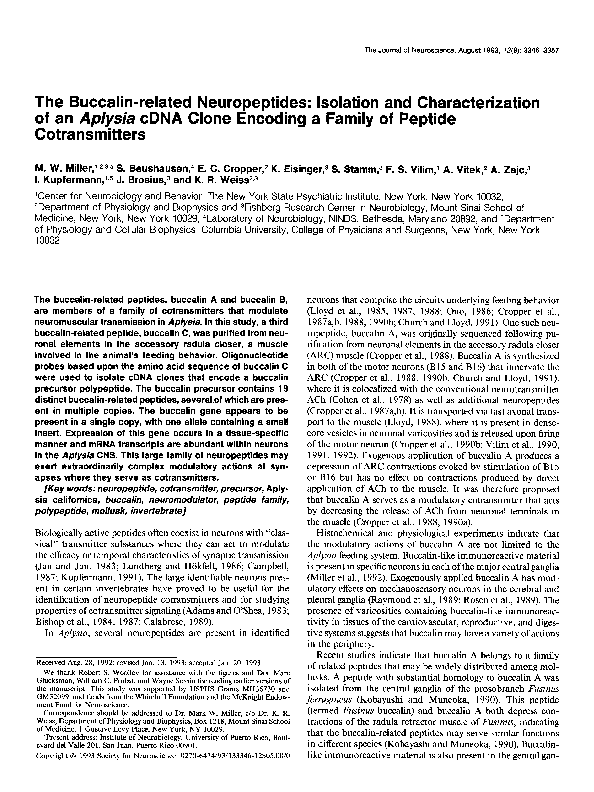 (PDF) The Buccalin-related Neuropeptides: Isolation and Characterization of an Aplysia cDNA ...