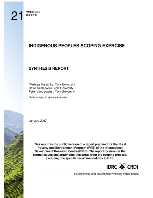 (PDF) SYNTHESIS REPORT