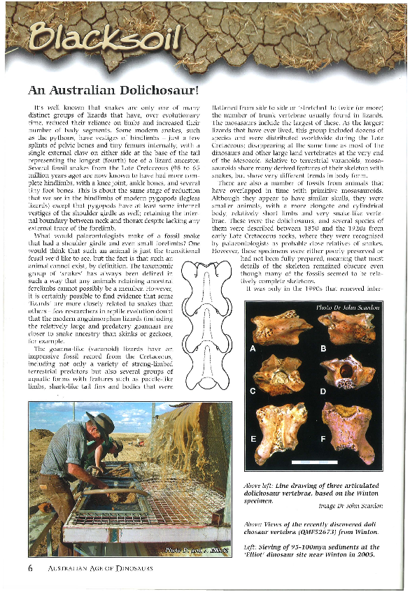 (PDF) An Australian Dolichosaur!