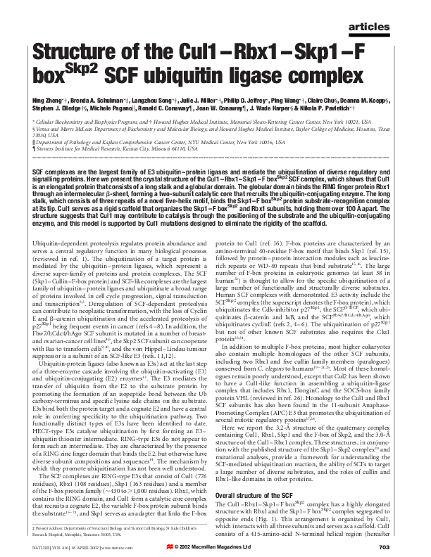 (PDF) Structure of the Cul1-Rbx1-Skp1-F boxSkp2 SCF ubiquitin ligase ...