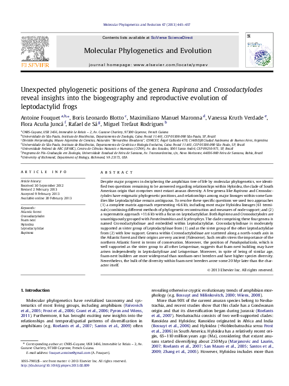 (PDF) Unexpected phylogenetic positions of the genera Rupirana and ...