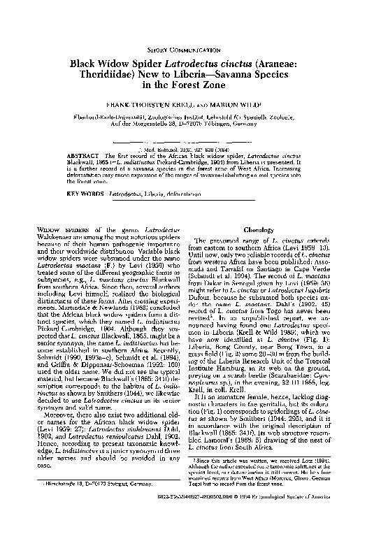 (PDF) Black Widow Spider Latrodectus cinctus (Araneae: Theridiidae) New ...