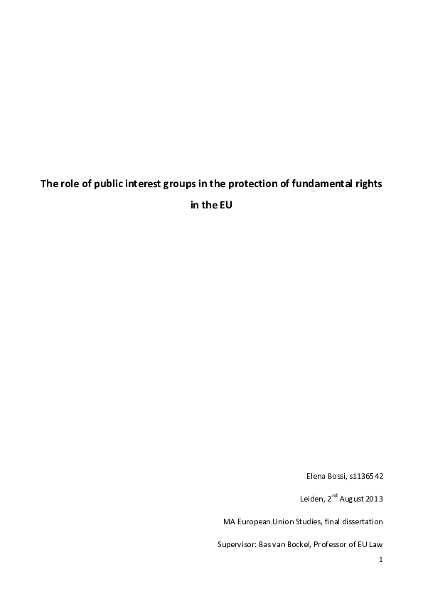 The role of public interest groups in the protection of fundamental ...