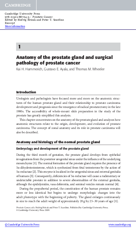 (PDF) Anatomy of the prostate gland and surgical pathology of prostate ...