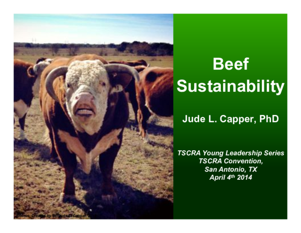 (PDF) Beef Sustainability