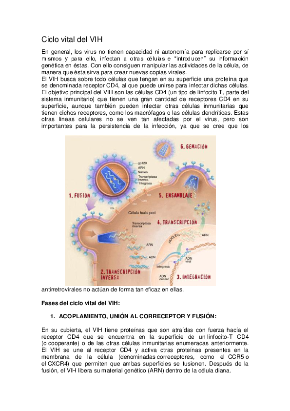 (DOC) Ciclo vital del VIH