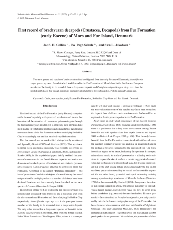 (PDF) First record of brachyuran decapods (Crustacea, Decapoda) from ...