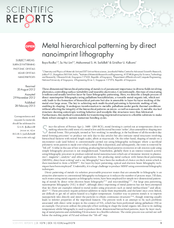 (PDF) Metal hierarchical patterning by direct nanoimprint lithography