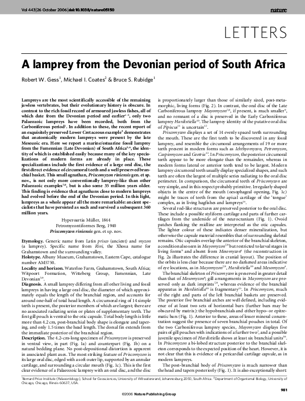 (PDF) A lamprey from the Devonian period of South Africa