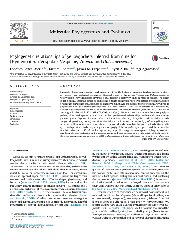 (PDF) Yellowjackets and Hornets Vespula and Dolichovespula spp ...