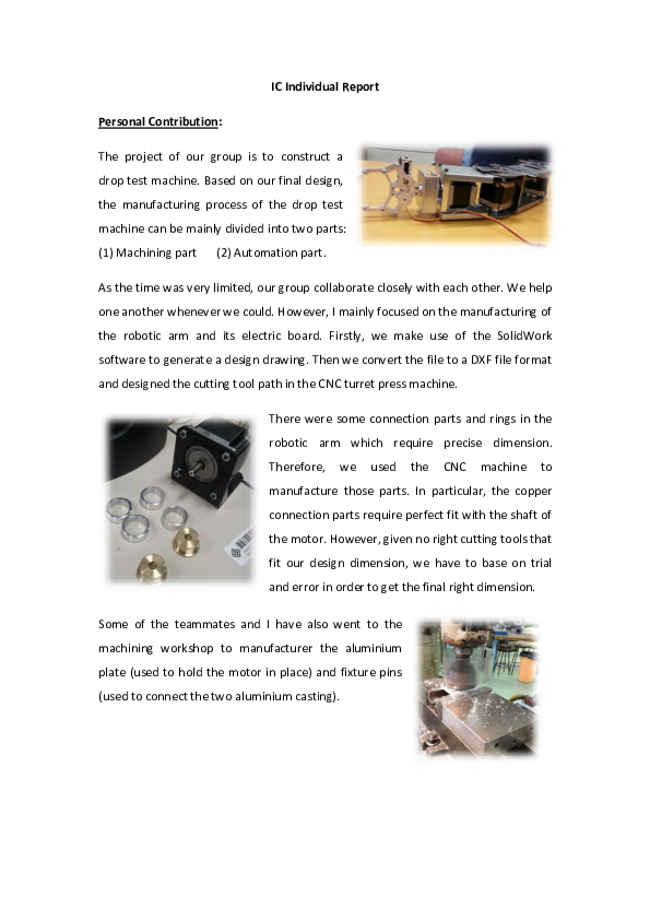 (DOC) IC Individual Report